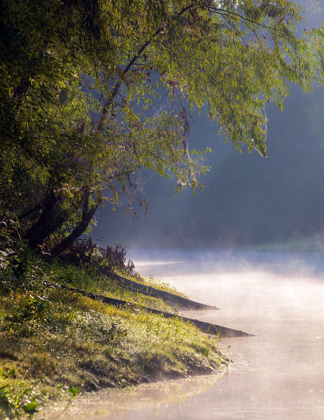 Polk Salad Annie – Queer and Loathing in America